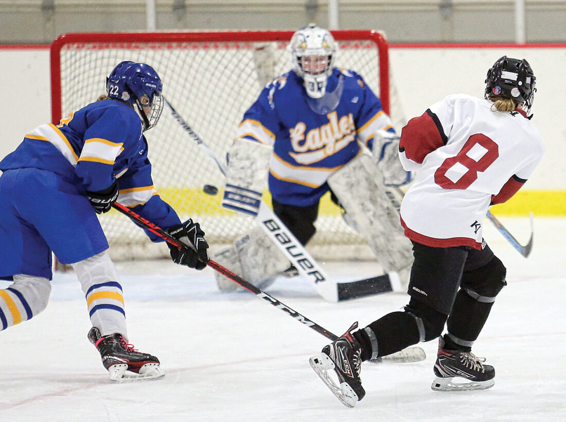 Fairmont Area’s Goerndt nets ‘skate-off’ goal to pace win | News ...